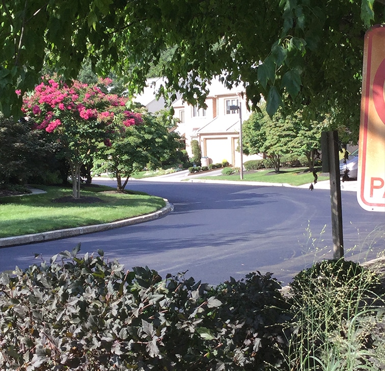 Delaware Valley Paving | Commercial Paving Contractor