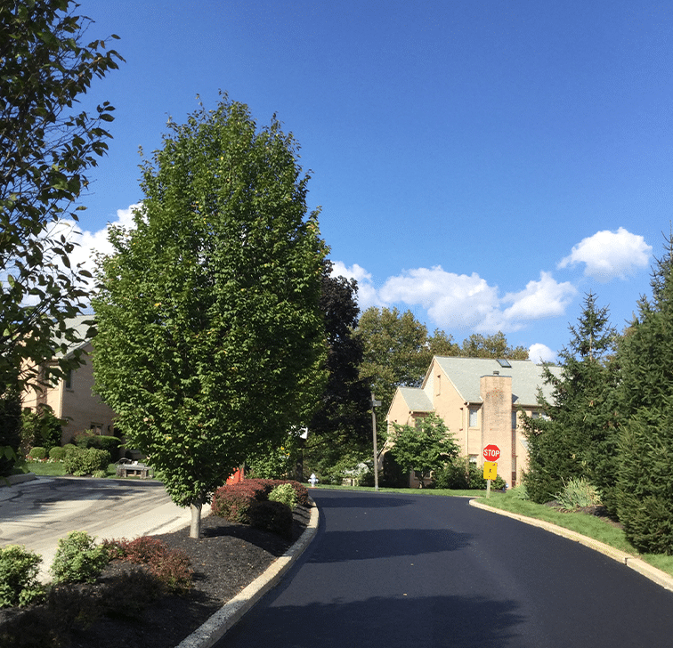 HOA Drivelane | Delaware Valley Paving